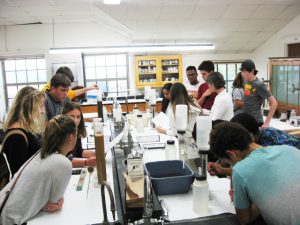 Soil and Environmental Sciences – College of Agricultural & Life Sciences