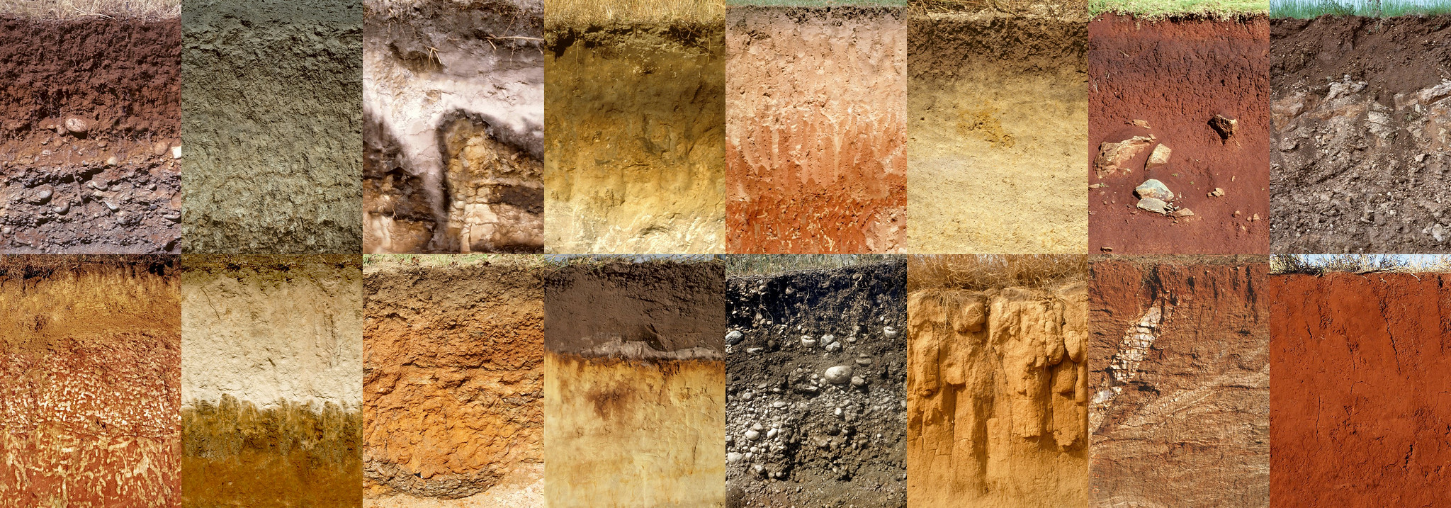 Soil Science Doctoral Minor – Soil and Environmental Sciences