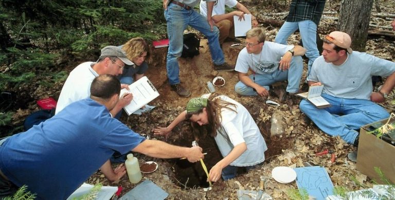 Graduate – Soil and Environmental Sciences