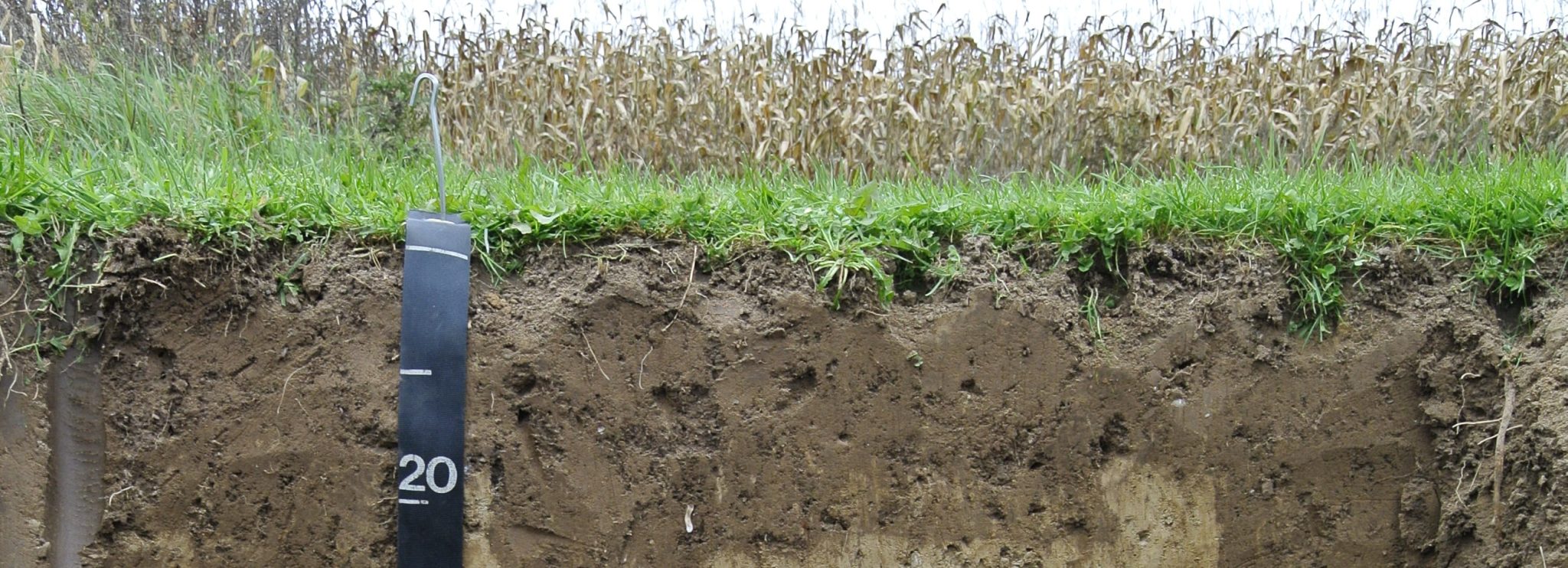 Soil and Environmental Sciences – College of Agricultural & Life Sciences